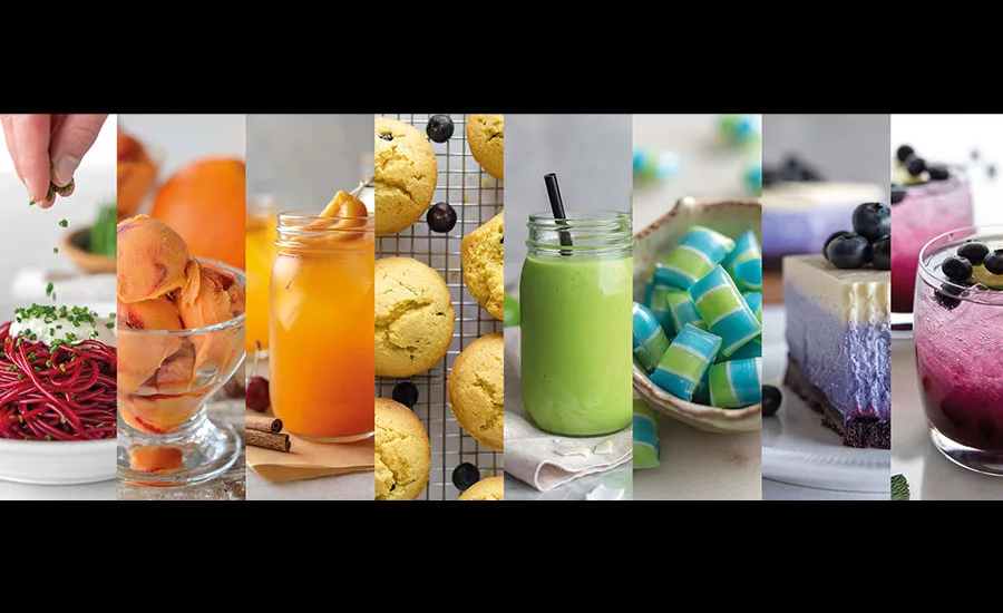 GNT: Colors and Consumers | Prepared Foods